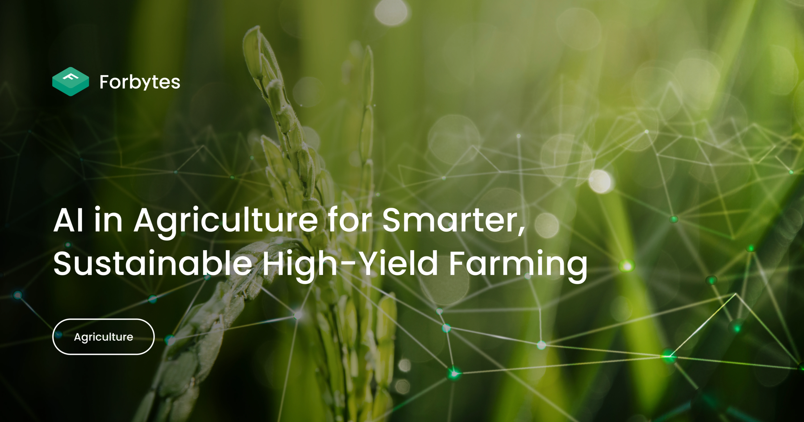 AI in Agriculture: A Smarter Path to Sustainable Farming