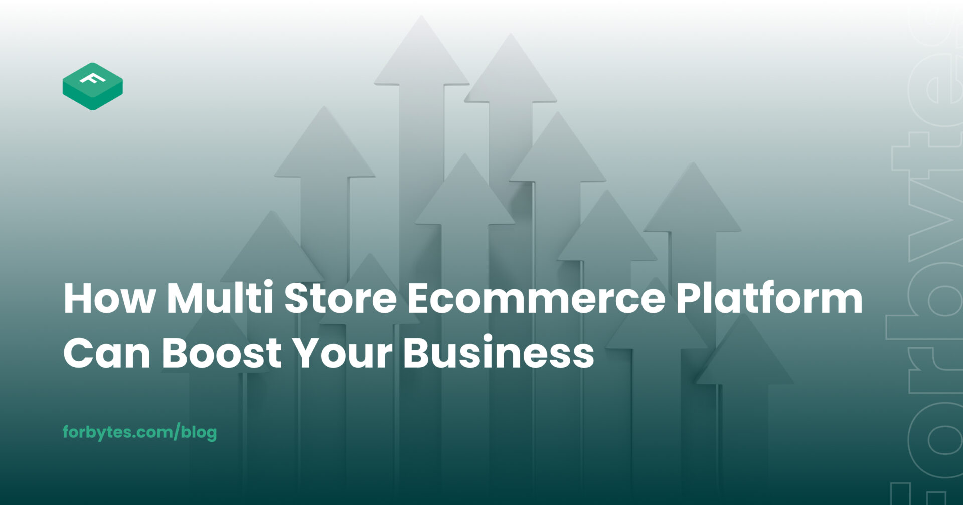 How Multi Store Ecommerce Platform Can Boost Your Business