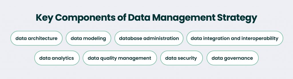 Navigating Data Management Strategy Insights From Forbytes