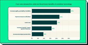 What Is a Solution Architect? The Responsibilities and Roles